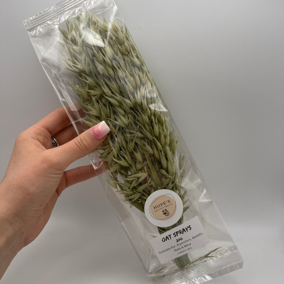 Oat Sprays – Hope's Wholesale